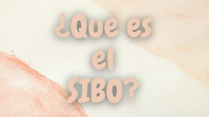 ¿Qué es el SIBO? - Isomed Diagnostics